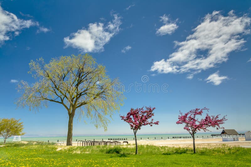 Spring Trees and Beach on Lake Michigan Stock Photo - Image of spring ...