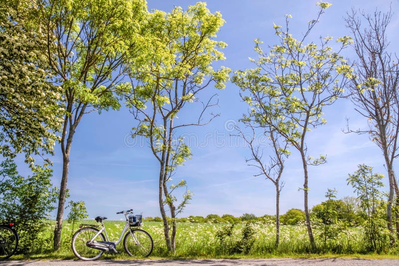 Spring trees with bicycle stock image. Image of scandinavia - 32869525