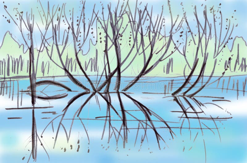 Spring Trees and Bushes, Reflections in the Water, Graphic Drawing ...