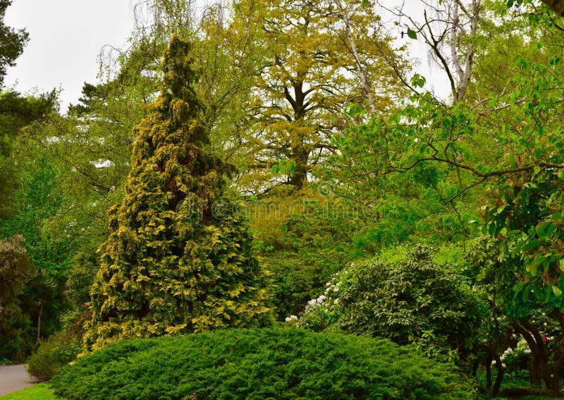 Landscape View in Early Spring Stock Image - Image of branches, flying ...