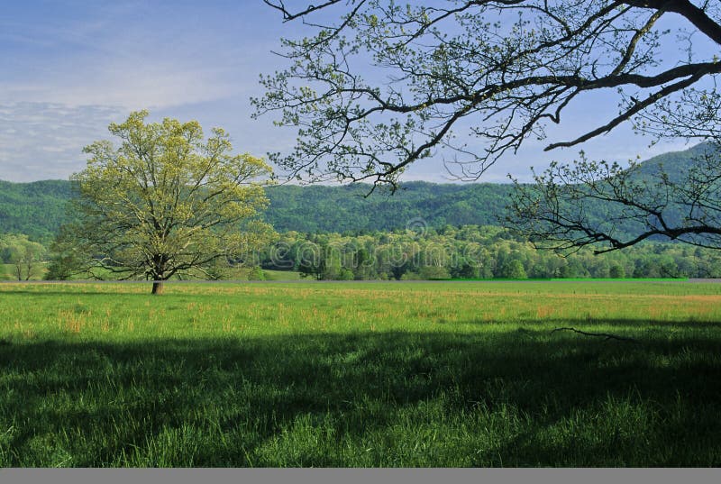 Country road landscape stock image. Image of peaceful - 5821031