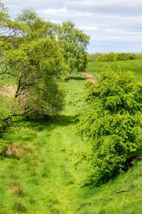 Trees and Fields Smoky Mountains Stock Image - Image of summertime ...