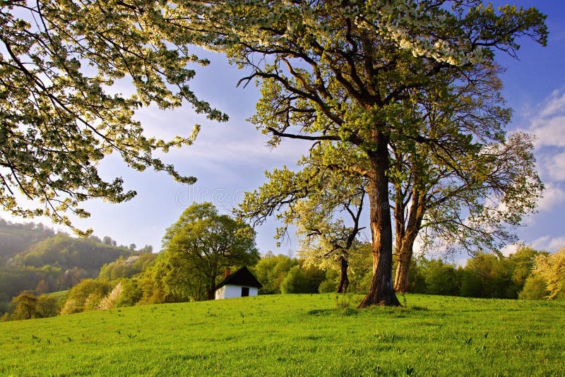 Spring Trees and Lonely House Stock Photo - Image of cloud, attractive ...