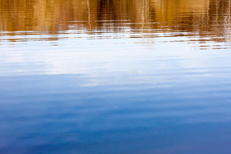 Spring Trees Reflecting in the Water Stock Photo - Image of forest ...