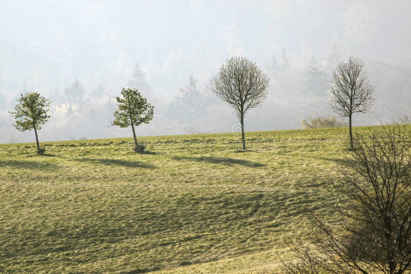 Spring Trees in the Taunus Mountains Stock Image - Image of ...