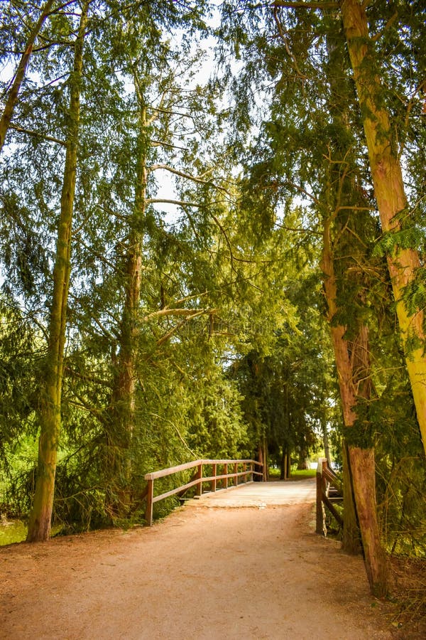 Weekend trip in the sun stock photo. Image of nature - 180754892