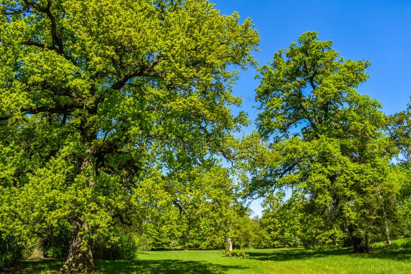 Weekend trip in the sun stock image. Image of beautiful - 180759389