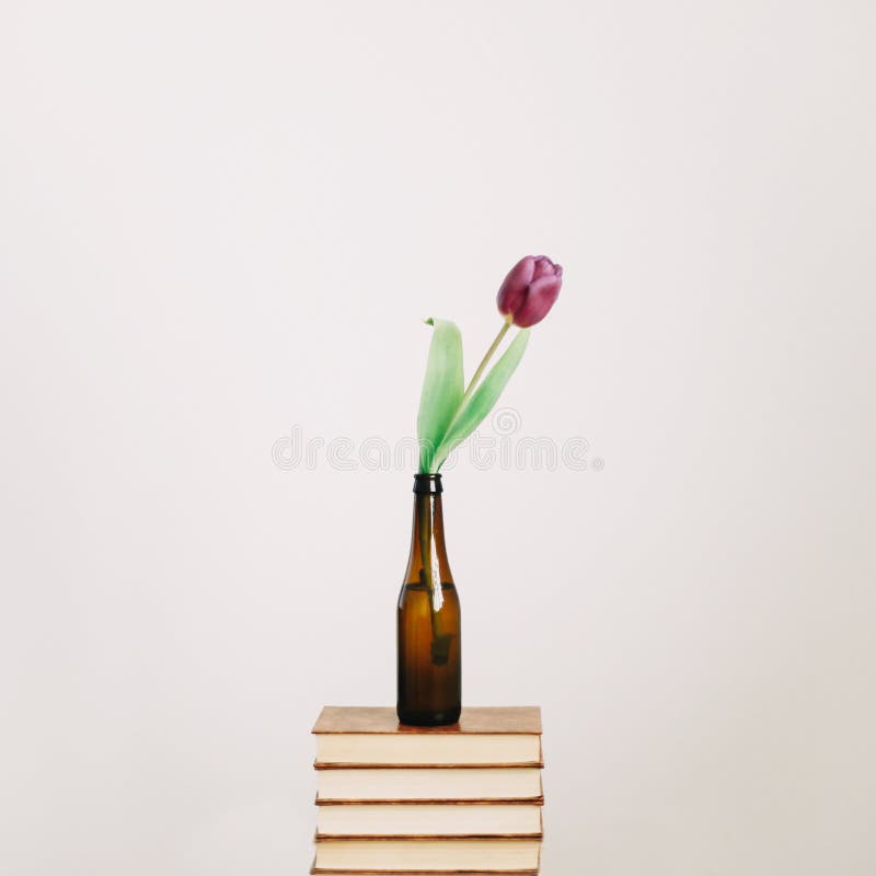 Fresh Spring Tulip in a Bottle on a Stack of Books on White Background ...