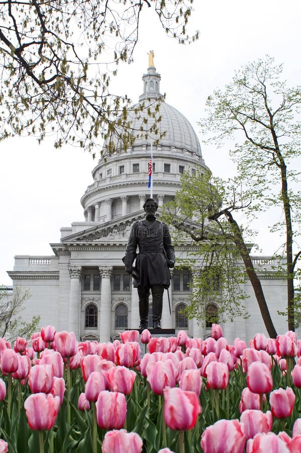 Spring Tulips at the Capitol Stock Photo - Image of state, tulips: 3364902