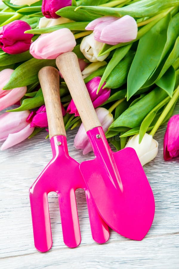 Spring Tulips and Garden Tools Stock Image - Image of purple, blossom ...