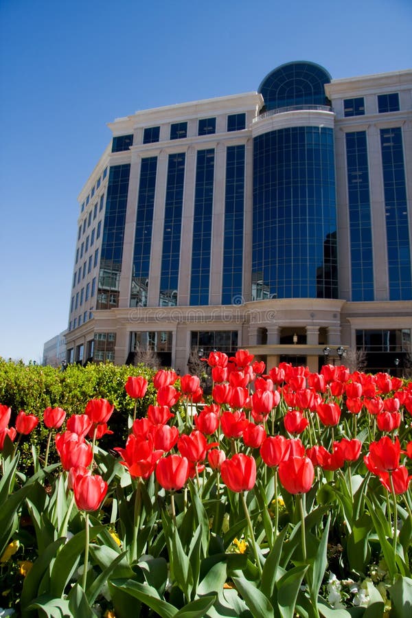 Office Building stock image. Image of corporate, park, layout - 630973