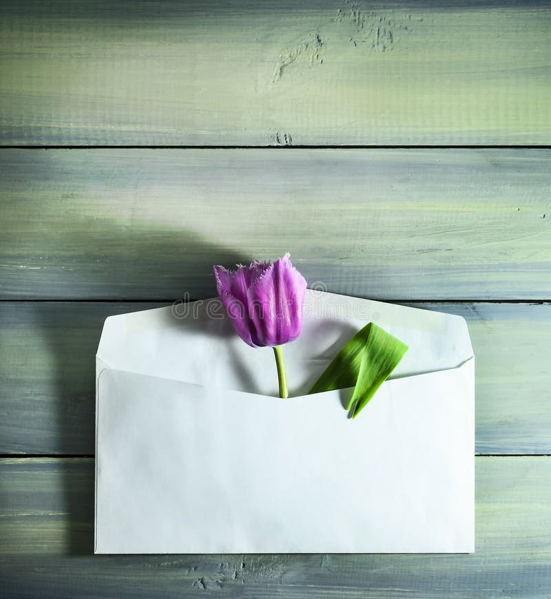 Spring Tulips in a Postal Envelope Stock Image - Image of gift ...
