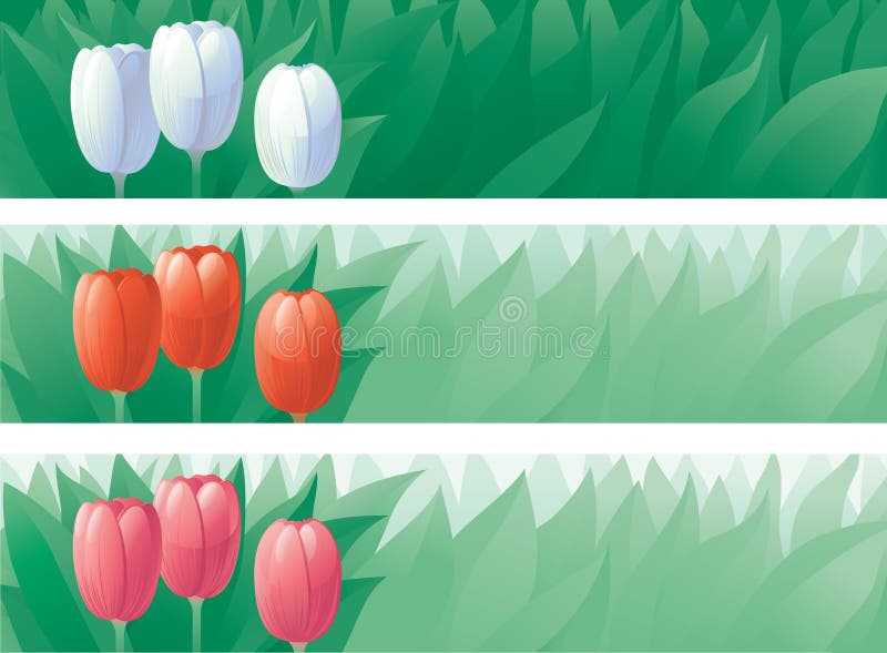 Spring tulips stock vector. Illustration of banner, easter - 38302138