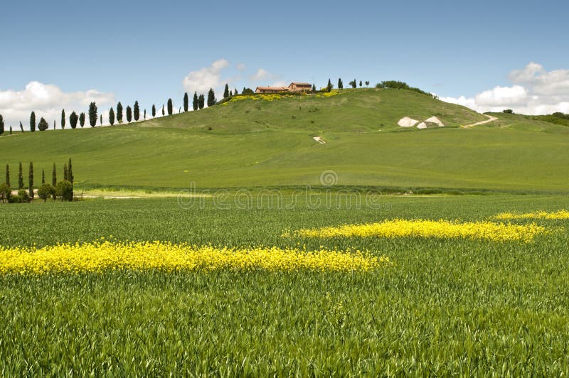 Spring in Tuscany stock photo. Image of outdoor, tuscany - 24716092