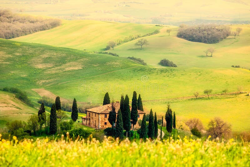 Spring in the Tuscany stock photo. Image of sunlight - 28731598