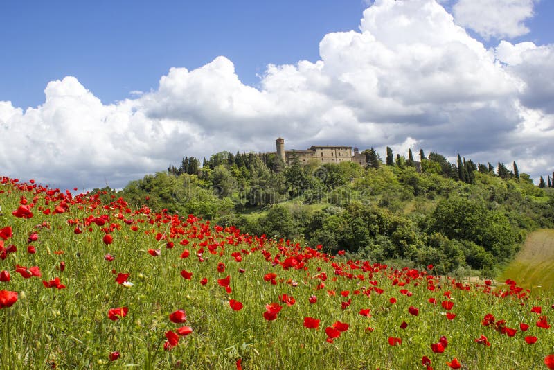 Spring in Tuscany stock photo. Image of beauty, beautiful - 31830168