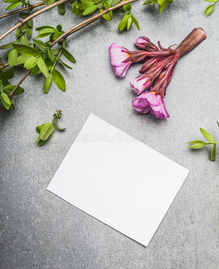 Spring Twigs and Flowers with Blank White Paper Card Stock Illustration ...