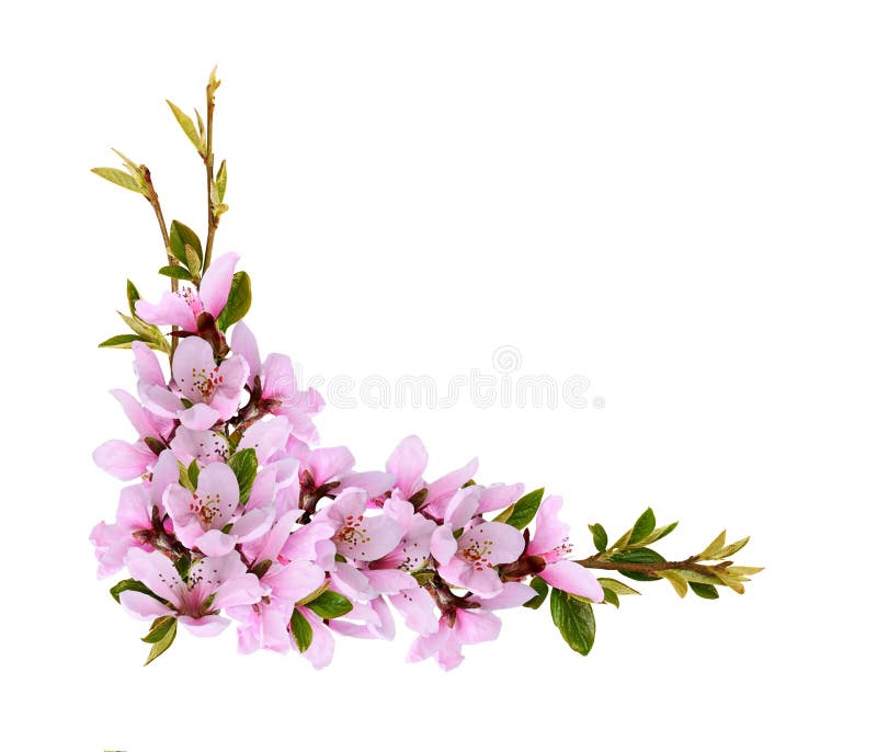 Spring Corner Arrangement with Apple, Bird Cherry and Almond Flowers ... Spring Corner Arrangement with Apple, Bird Cherry and Almond Flowers ...