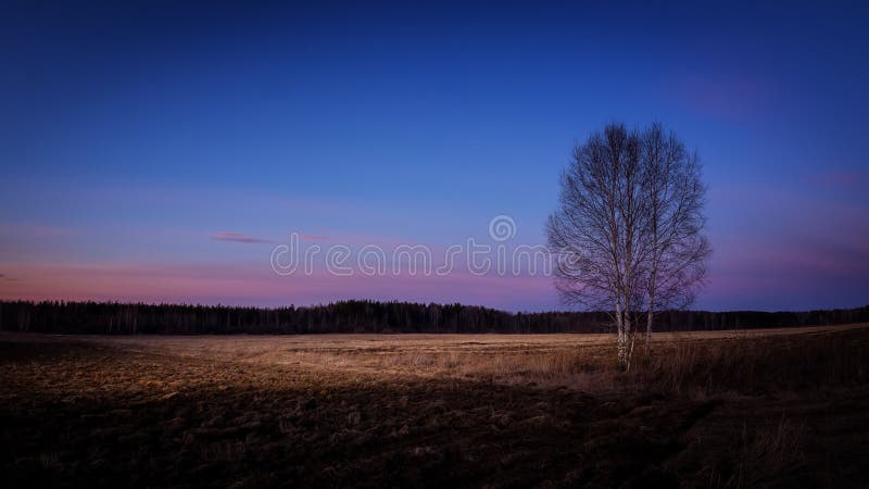 Spring Ural Landscape with a Field in the Evening, Russia Stock Photo ...