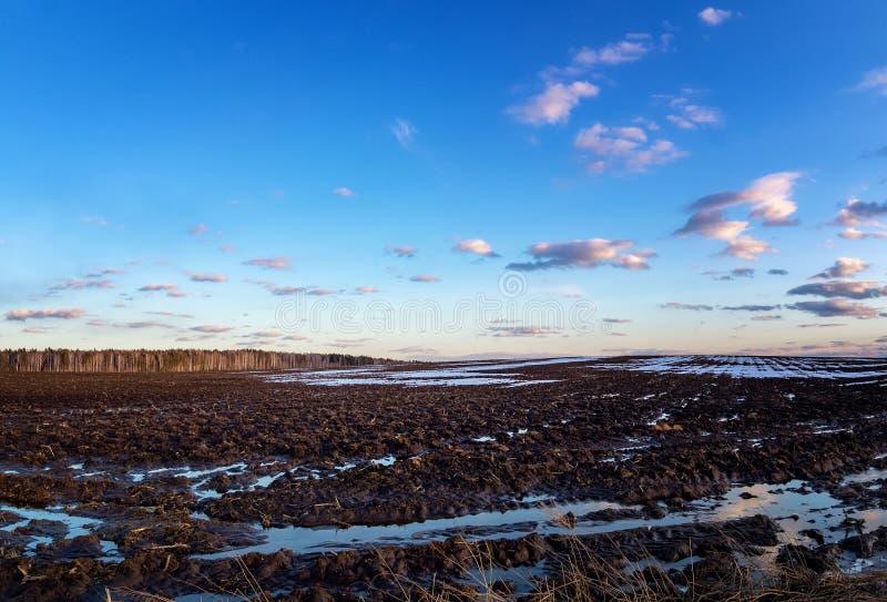The Spring of the Ural Landscape with Field and Forest, Russia Stock ...