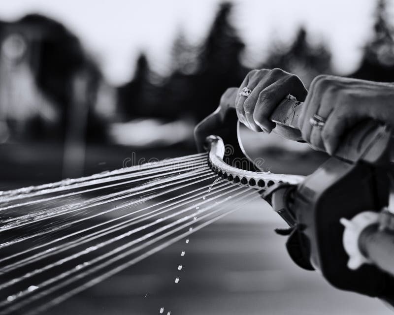 Spring upon us stock image. Image of blacknwhite, spring - 55825963