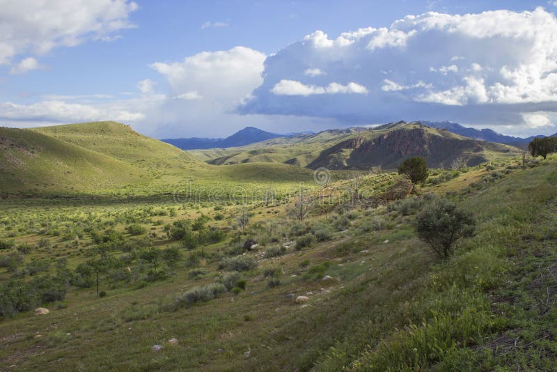 Spring in the Utah Desert stock photo. Image of america - 97472114
