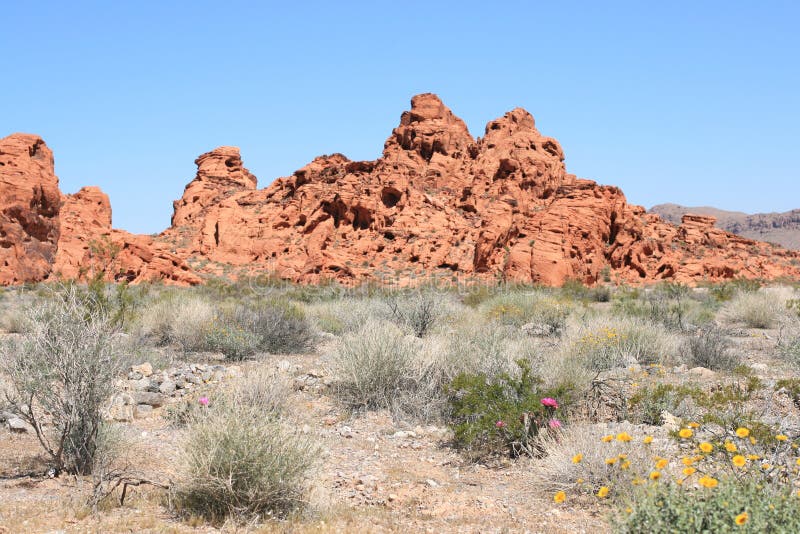Spring in Valley of Fire Nevada Stock Photo - Image of fire, state ...