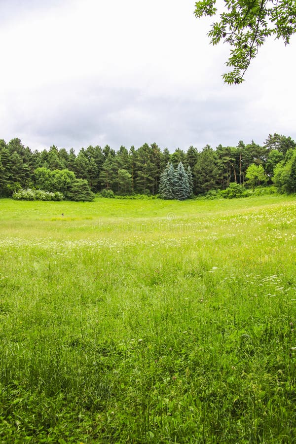 Spring valley stock photo. Image of walk, cultivate, village - 45237816