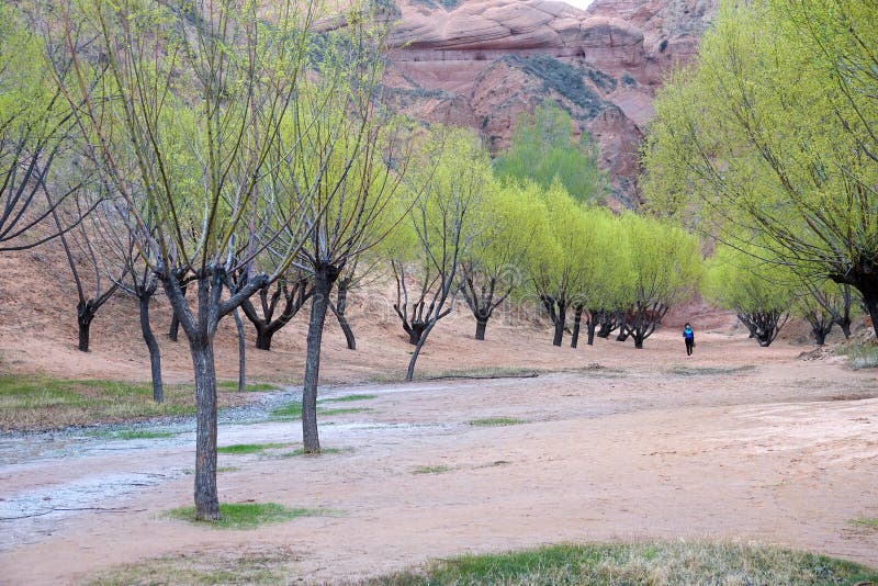 Spring valley stock photo. Image of scenic, mountain - 92881054