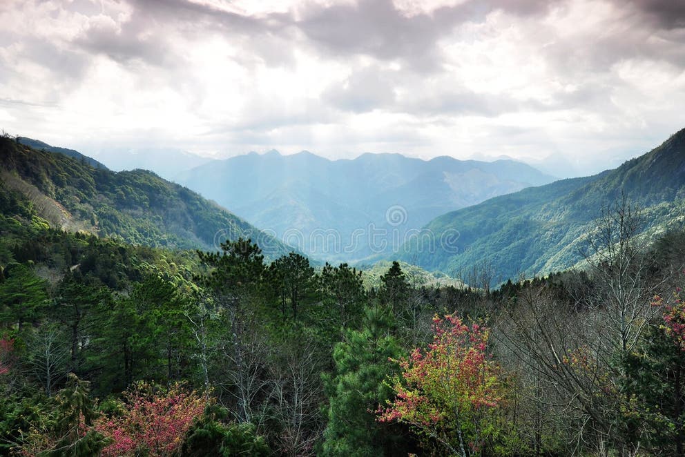 Spring in the vally stock photo. Image of serene, environment - 14978886