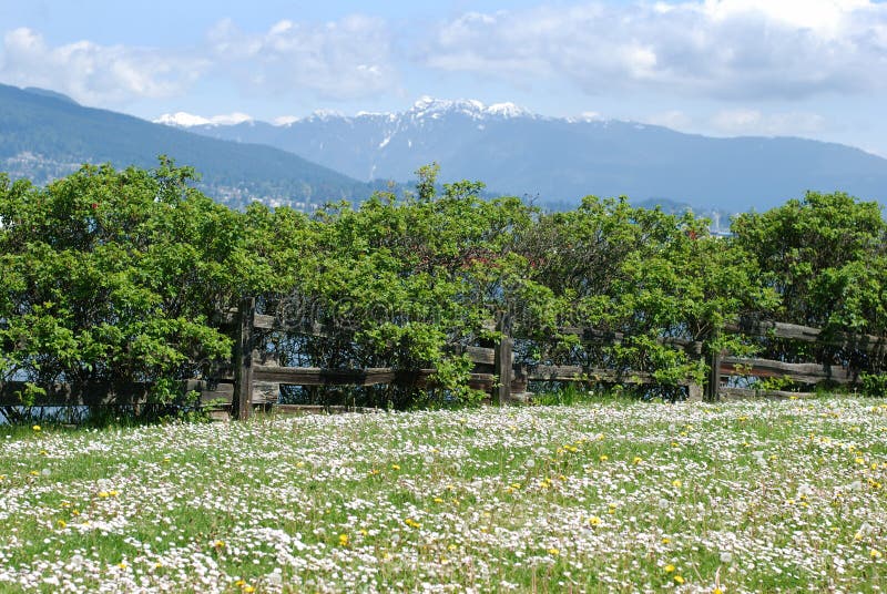 Spring in Vancouver stock photo. Image of landscape, vancouver - 3580480