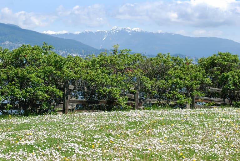 Spring in Vancouver stock photo. Image of landscape, vancouver - 3580480