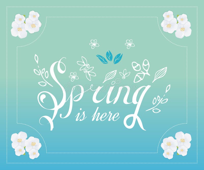 Vi Spring Logo