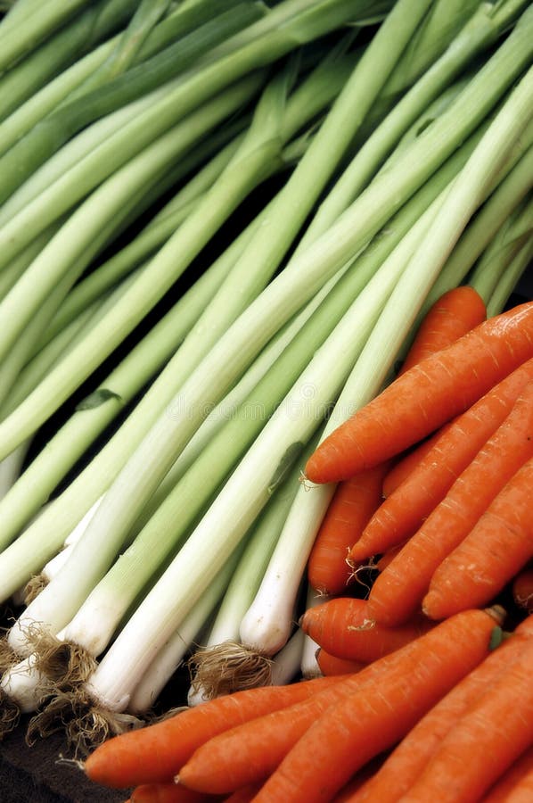 Spring Vegetables stock image. Image of eating, vegetables - 199381