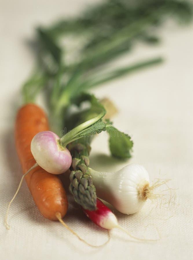 Spring vegetables stock image. Image of vegetable, fashioned - 23705189