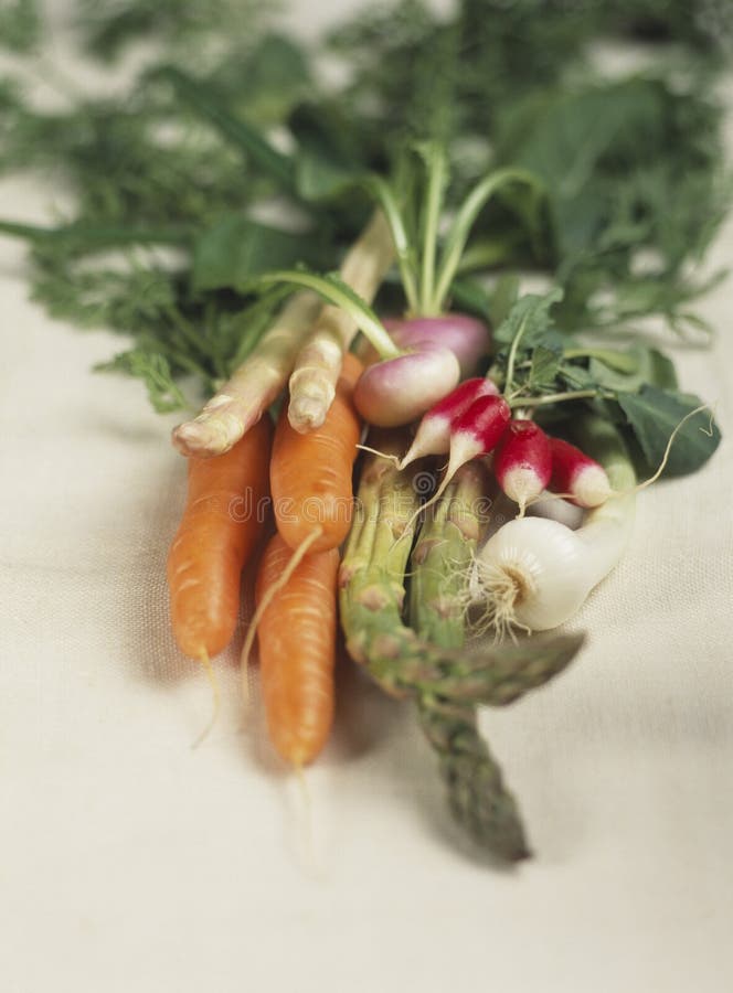 Spring vegetables stock image. Image of focus, style - 23705191