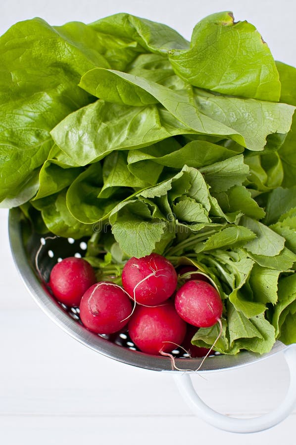 Spring vegetables stock photo. Image of strainer, healthy - 29677598