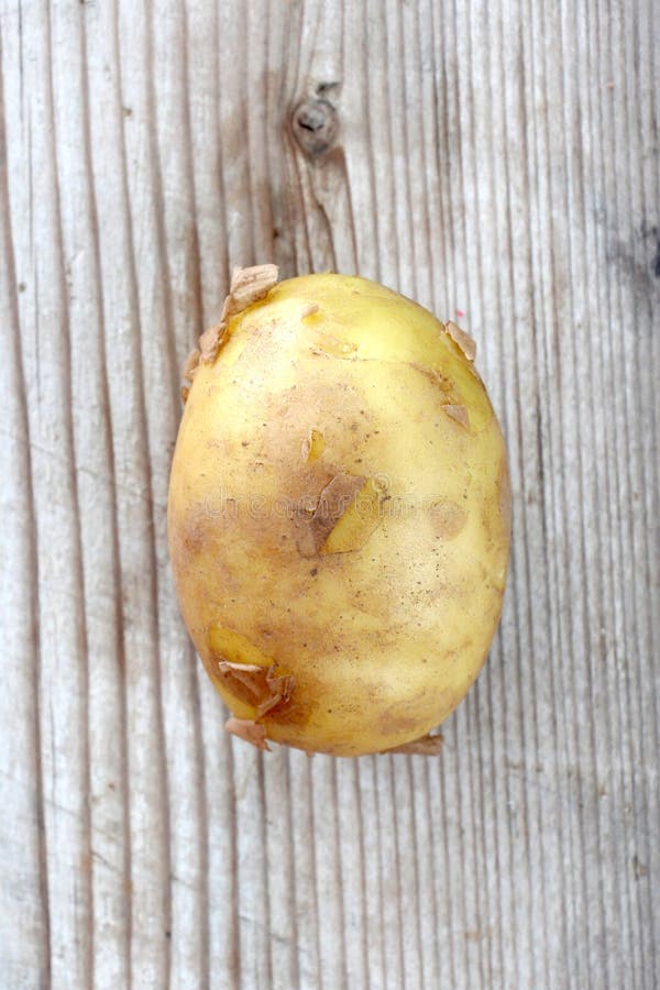 Spring Vegetables, Fresh, Potato Stock Photo - Image of organic, potato ...