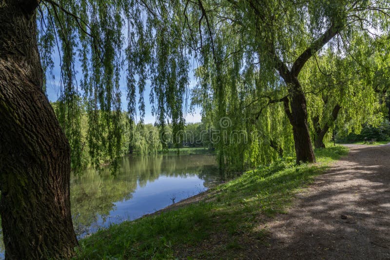 Spring Version of Widzewski Park in ?ód?, Poland. Stock Photo - Image ...