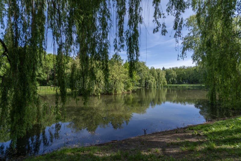Spring Version of Widzewski Park in ?ód?, Poland. Stock Photo - Image ...