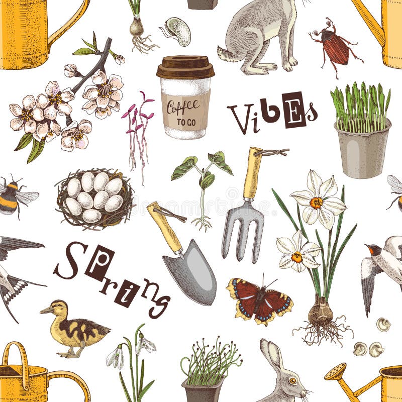 Spring Vibes Hand Drawn Poster Stock Vector - Illustration of bird ...