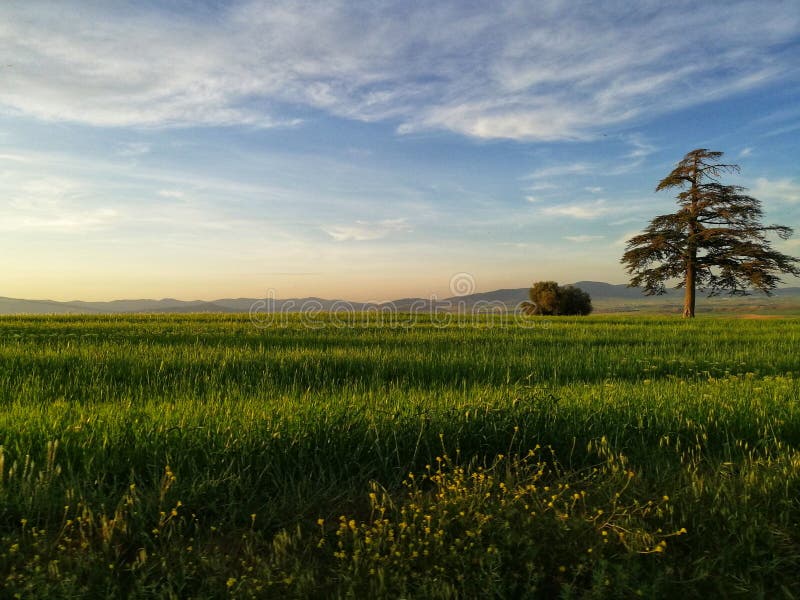 Spring vibes stock image. Image of sunset, spring, vibes - 158633583