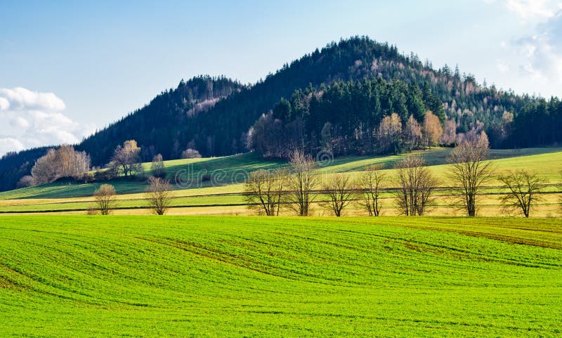 Spring view stock image. Image of clear, landscape, blue - 24718095