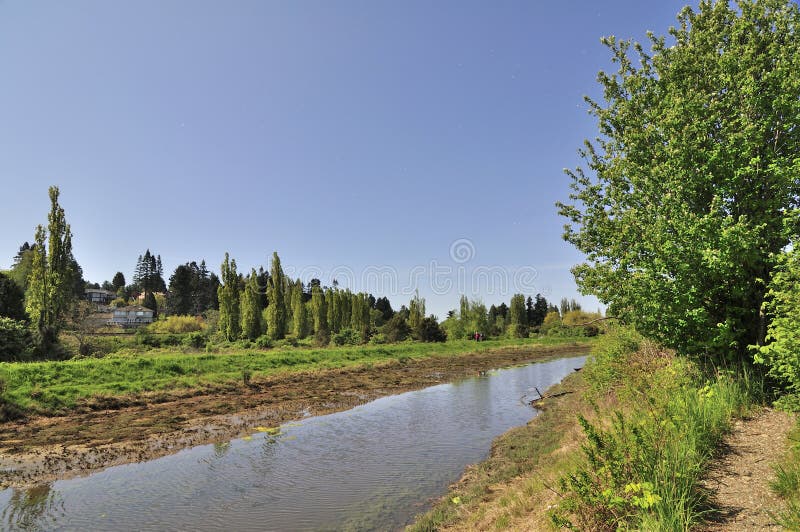 Spring view of countryside stock photo. Image of grass - 29173478