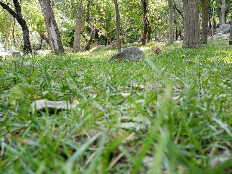 Spring View in Gilgit Baltistan Stock Photo - Image of smart, place ...