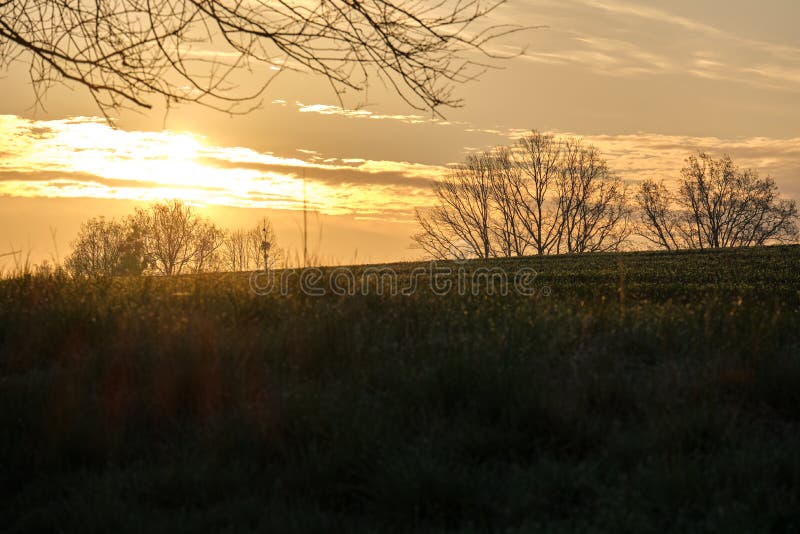 Spring View of the Horizon Rural Field with Sunrise Stock Photo - Image ...