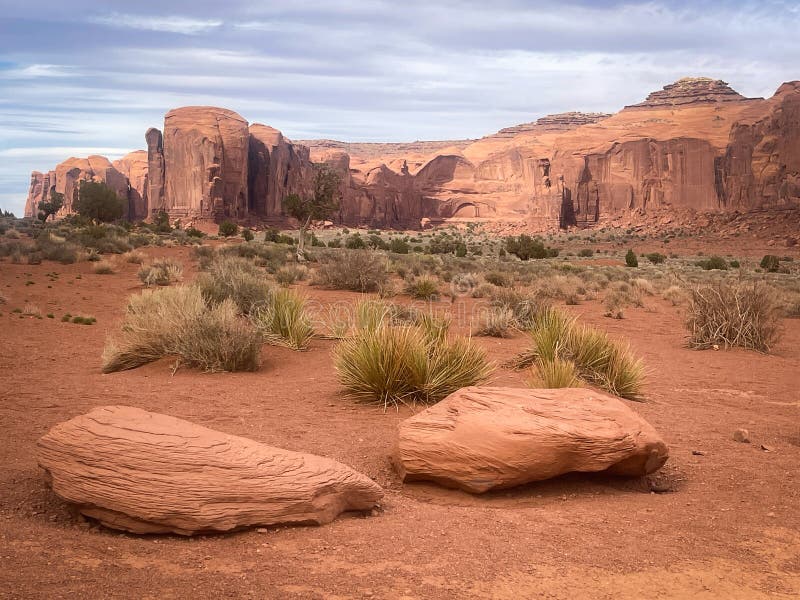 Spring View in Monument Valley on the 17 Mile Drive Stock Image - Image ...