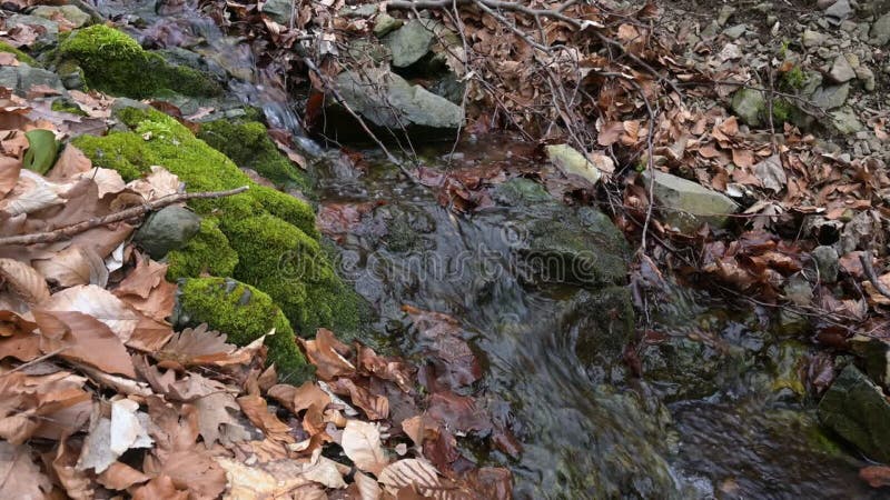 Spring View of Small River at Vitosha Mountain, Bulgaria Stock Footage ...