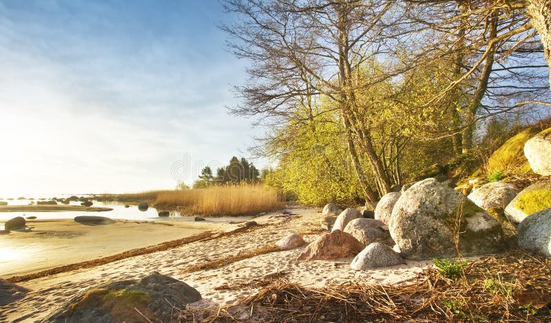 Spring view to the seaside stock image. Image of coastline - 60238509