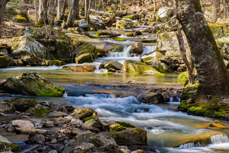 Spring View of a Wild Mountain Trout Stream Stock Photo - Image of ...